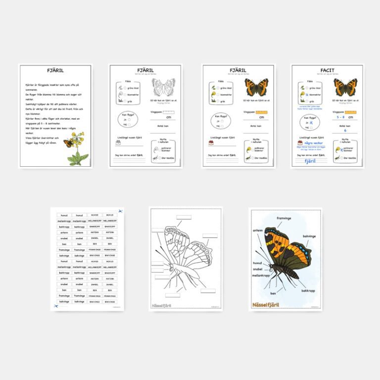 Materialpaket - Fakta om insekter - NPF anpassat