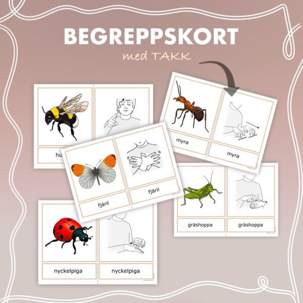 Etikett: Insekter - NPF anpassat