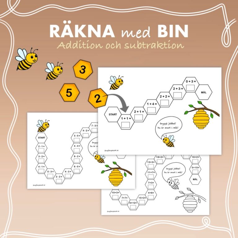 Räkna med bin – Addition och subtraktion - NPF anpassat