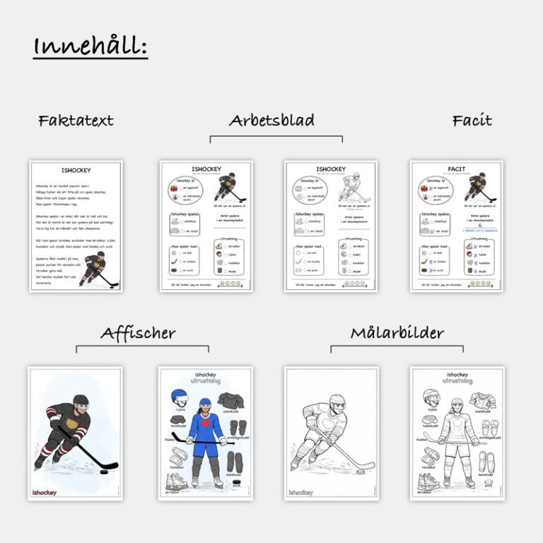 Fakta om idrott - Ishockey - NPF anpassat