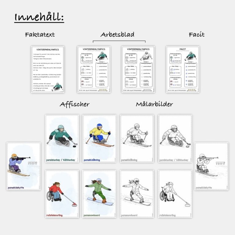 Fakta om idrott - Vinterparalympics - NPF anpassat